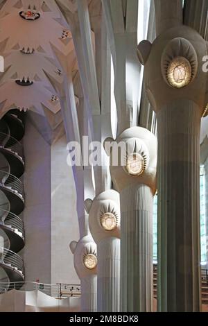 The columns of the inside of the Sagrada Familia in Barcelona, Spain ...