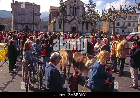 Traditional donkey festival in Gonfaron in the Var in Provence the ...