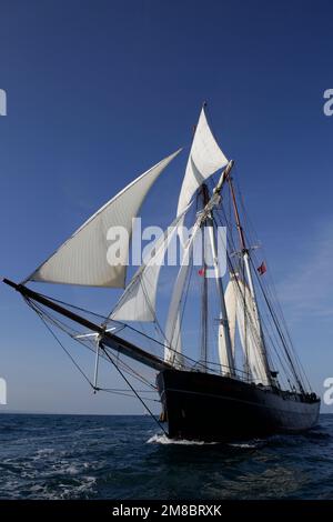 Dutch topsail schooner Wylde Swan, tall ships race, North Sea, 2010 ...