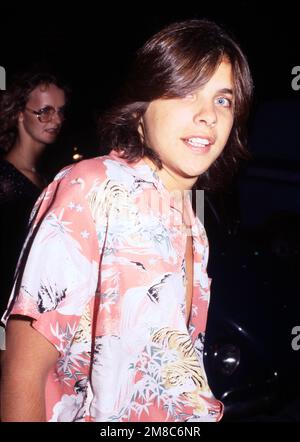Clark Brandon Circa 1980's Credit: Ralph Dominguez/MediaPunch Stock ...
