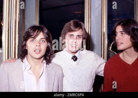 Clark Brandon, Shaun Stevens and Peter Bardon Circa 1980's Credit ...
