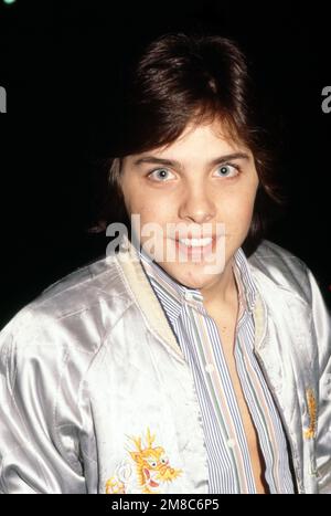 Clark Brandon Circa 1980's Credit: Ralph Dominguez/MediaPunch Stock ...