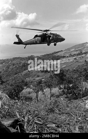 Members of Company D, 2nd Light Armored Infantry Battalion, check over ...