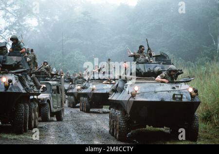 Marines of Company D, 2nd Light Armored Infantry Battalion, stand guard ...