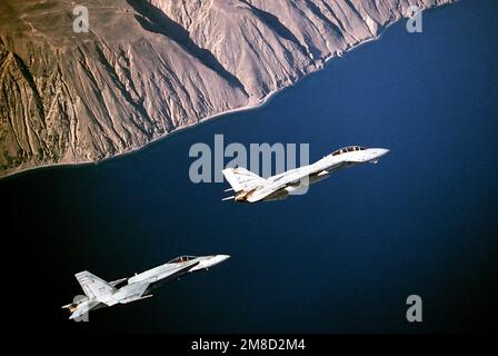 A Fighter Squadron 302 (VF-302) F-14A Tomcat aircraft taxis to the ...