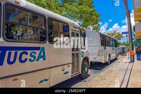 Various colorful buses bus in Playa del Carmen Quintana Roo Mexico ...