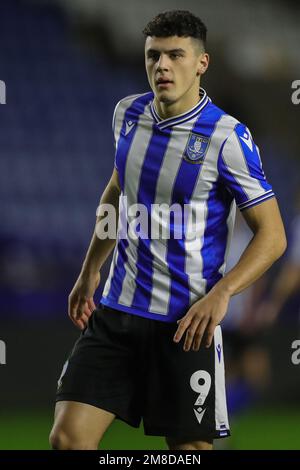 Bailey-Tye Cadamarteri #9 of Sheffield Wednesday during the FA Youth ...