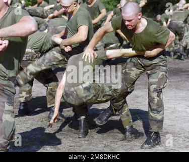 First Battalion recruits practice hand-to-hand combat techniques. Base ...