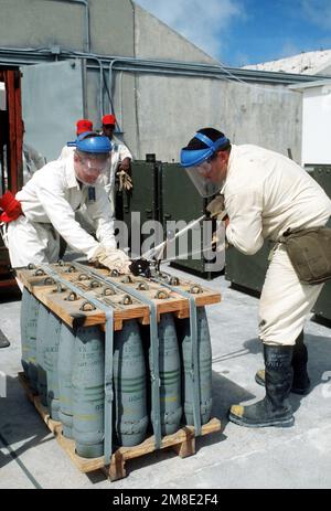 A pallet of 155mm chemical artillery shells sits in its shipping crate ...