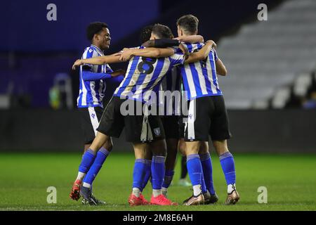 The Sheffield Wednesday Under 18’s squad celebrate the victory after ...