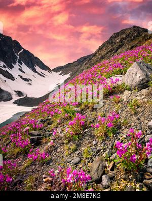 Incredible landscape views in Yukon Territory, Canada with pink, pastel ...