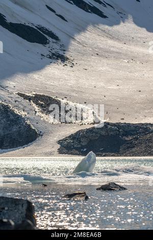 Glacial lake with large ice chunks seen in northern Canada during ...