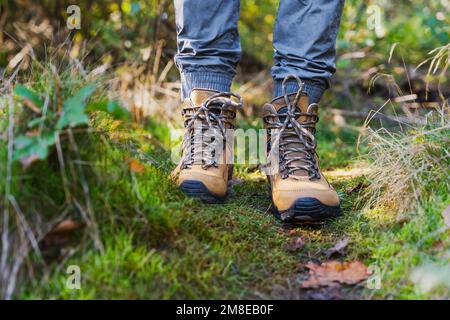 Unrecognizable male traveller or hiker walking in the forest and ...