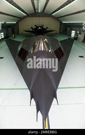 Two 37th Tactical Fighter Wing (37th TFW) F-117A aircraft sit inside a ...