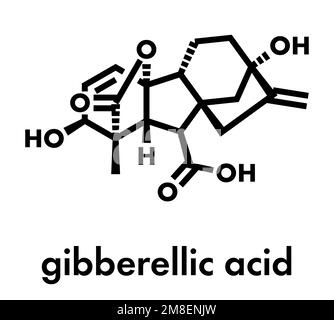 Gibberellic acid (gibberellin A3, GA3) plant hormone molecule. Skeletal ...