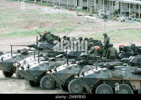 Two LAV-AT light armored anti-tank vehicles from the 1ST Light Armored ...