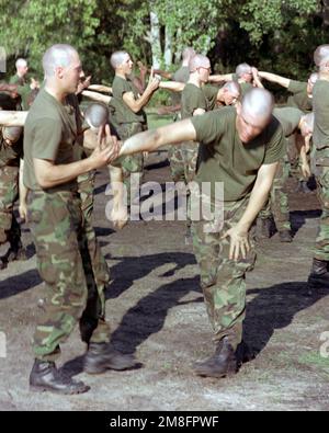 Recruits practice hand-to-hand combat techniques during basic training ...