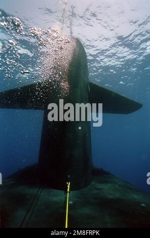 Seals training the the entering into a submarine Stock Photo - Alamy