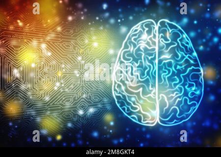 Human brain 2d illustration, Digital illustration of Human brain ...