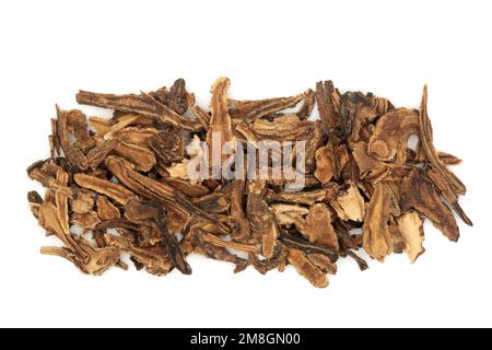 Hog fennel root herbal plant medicine, is antispasmodic, diaphoretic ...