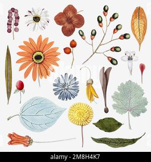 Mixed flowers and leaves set vector Stock Vector Image & Art - Alamy