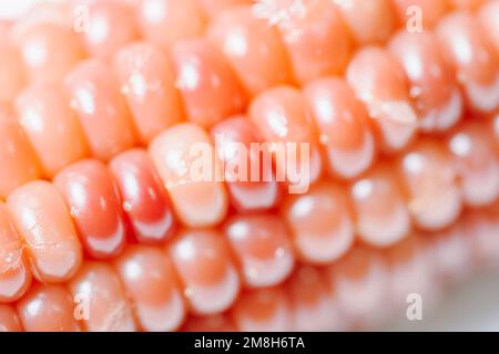 Delicious boiled waxy corn food served on the table Stock Photo - Alamy