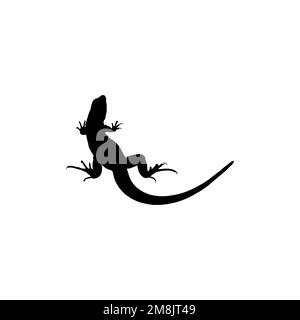 Gecko icon. Simple style reptiles info poster background symbol. Gecko ...