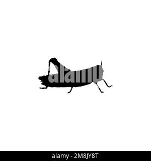 Grasshopper icon. Simple style insect science poster background symbol ...