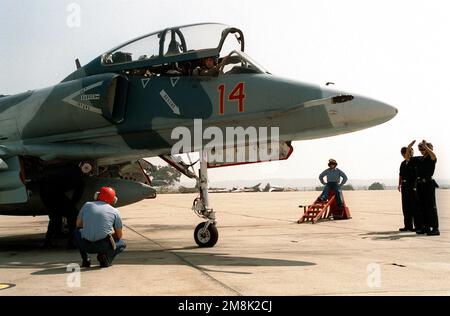 Plane captains for Fighter Squadron 126 (VF-126), prepare for preflight ...