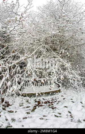 Crisp and even, clean environmental woodland portrait after a shower of ...