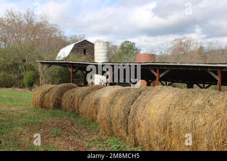 Bales of hay with old barn and silos Stock Photo - Alamy