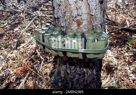 Marines from Bravo and Alpha Companies, 1st Battalion, 6th Marine ...