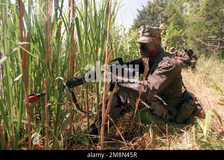 U.S. Marine Corps riverine assault craft RAC-28 and two other RACs are ...