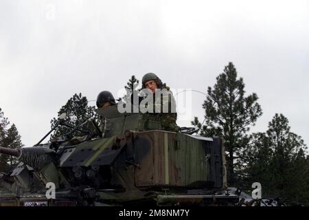 Crews of HQ63 & HQ66 (Bradley), 1-23rd Infantry, 3rd Brigade, 2nd ...