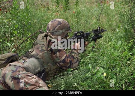 A soldier lying in the prone position mans his FNMI 7.62mm M240B medium ...