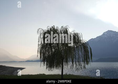 View of Lake Como . Domasio , Italy Stock Photo - Alamy
