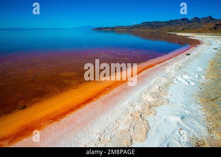 A scenic view of Lake Urmia in Iran under a cloudless blue sky on a ...