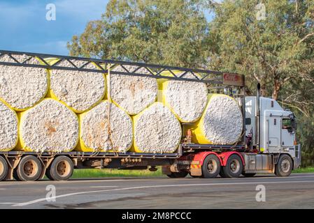 A truck trailer with cotton bales Stock Photo - Alamy