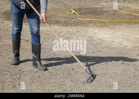 Farmer using a rake to create a fine top layer of soil. Planting grass ...
