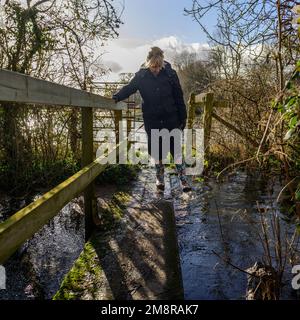 Fordingbridge, Hampshire, UK, 15th January 2023, Weather: Sunshine over ...