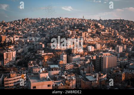 Downtown Amman landscape at sunset, capturing the golden hour sunlight ...