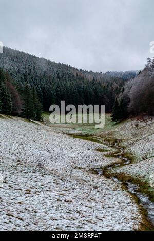 A touch of winter on the heights of the Thuringian Forest near Floh ...
