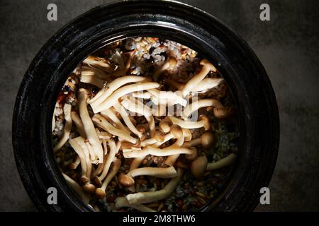 Mushroom stone pot rice on dark background Stock Photo - Alamy