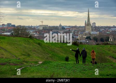 Mousehold Heath, Noriwch Stock Photo - Alamy