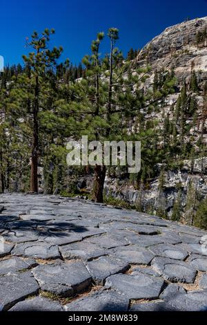 Basaltic columns created by cooling lava in Devils Postpile National ...