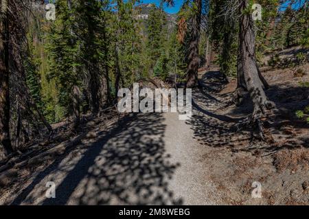 Top of Basalt formations at Devil's Postpile National Monument near ...