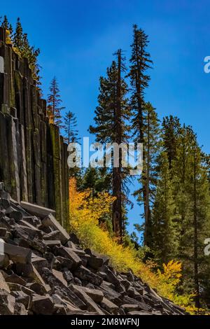 Basaltic columns created by cooling lava in Devils Postpile National ...
