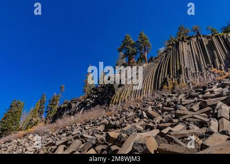 Basaltic columns created by cooling lava in Devils Postpile National ...