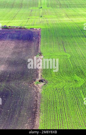 Aerial View of sown field in the Argentine countryside, Pampas province ...