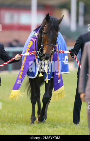 Aichi, Japan. 15th Jan, 2023. Robertson Quay and Takuma Ito before the ...